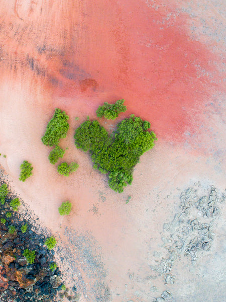 YANE 0660 – yane.com.au